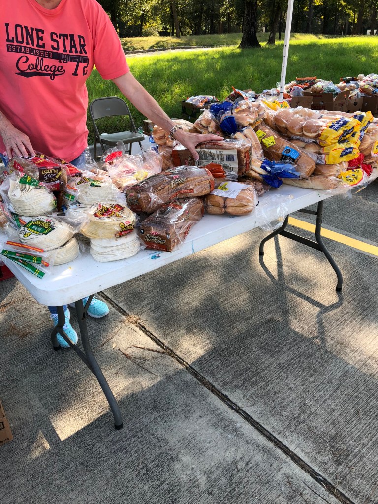 Lone Star College-Kingwood Community Food Fair.